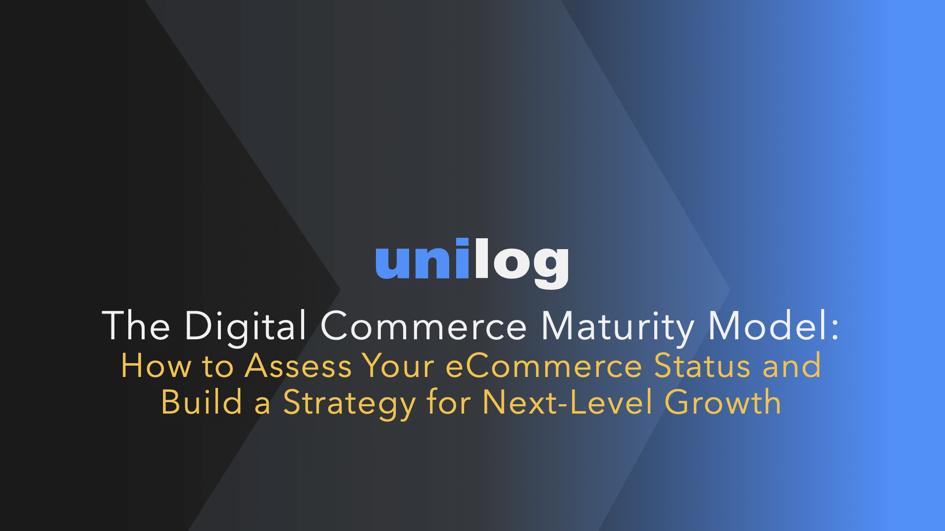 The Digital Commerce Maturity Model: Assess Your eCommerce Status and ...